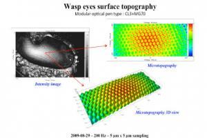 Acuity White Light Confocal Medical Scans - Acuity Laser